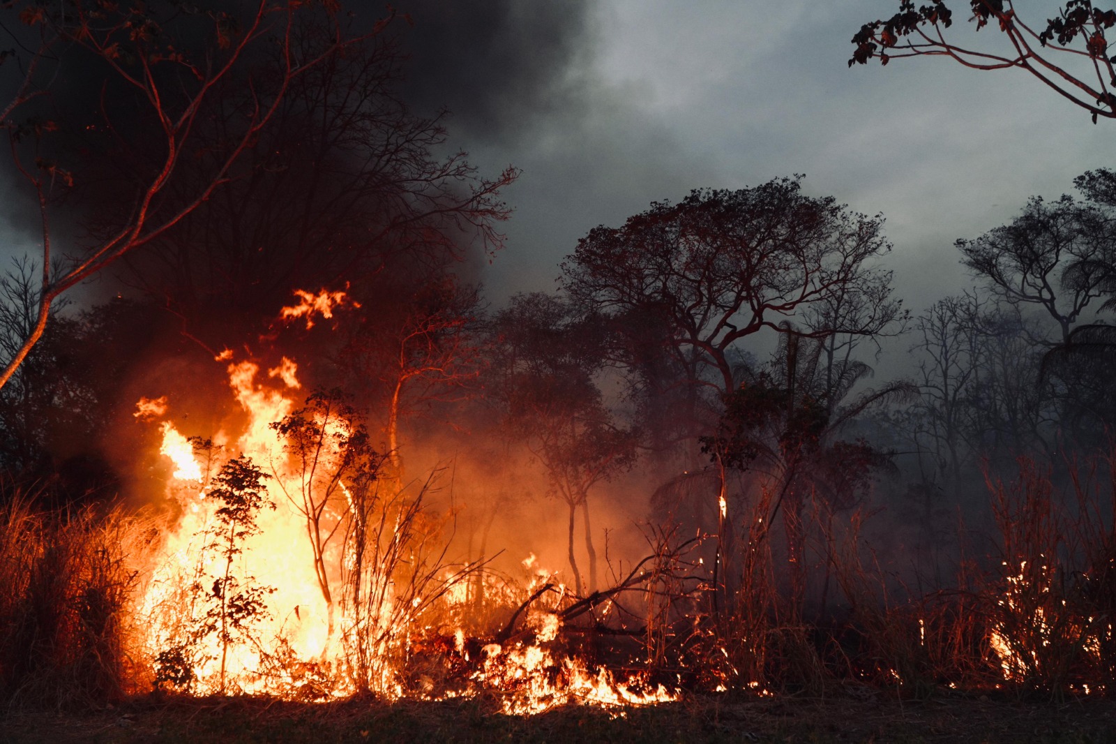 El fuego amenaza al Santuario de Fauna Ambue Ari, piden refuerzos